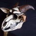 Goat skull Halloween mask