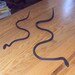 Sneaky Snake Hand Forged Garden by pleasantvalleyfarmpa on Etsy