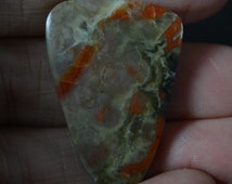 Popular items for coprolite on Etsy