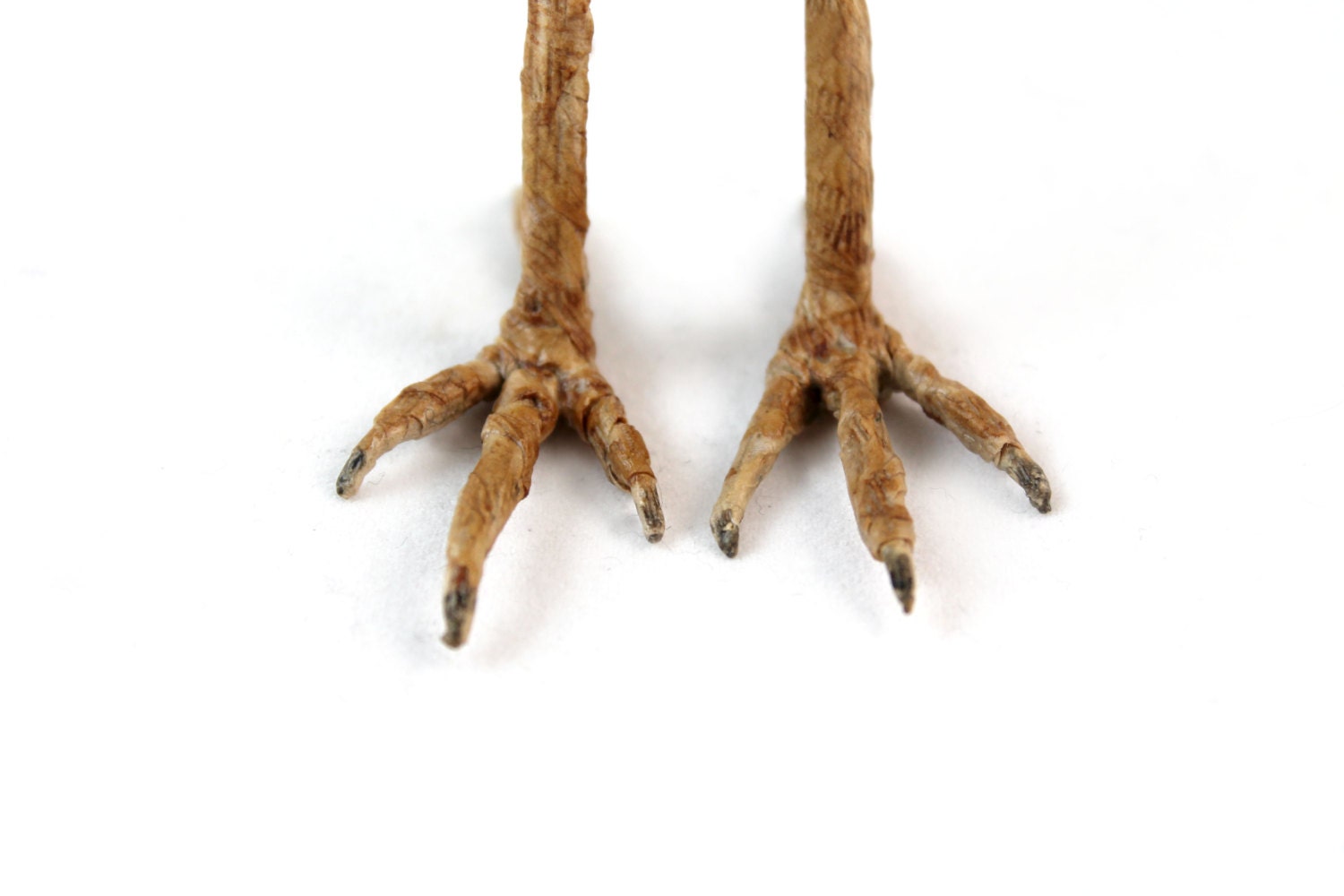 How To Make Wired Bird Feet And Legs PDF Tutorial