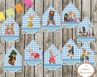 Popular items for peter rabbit gift on Etsy