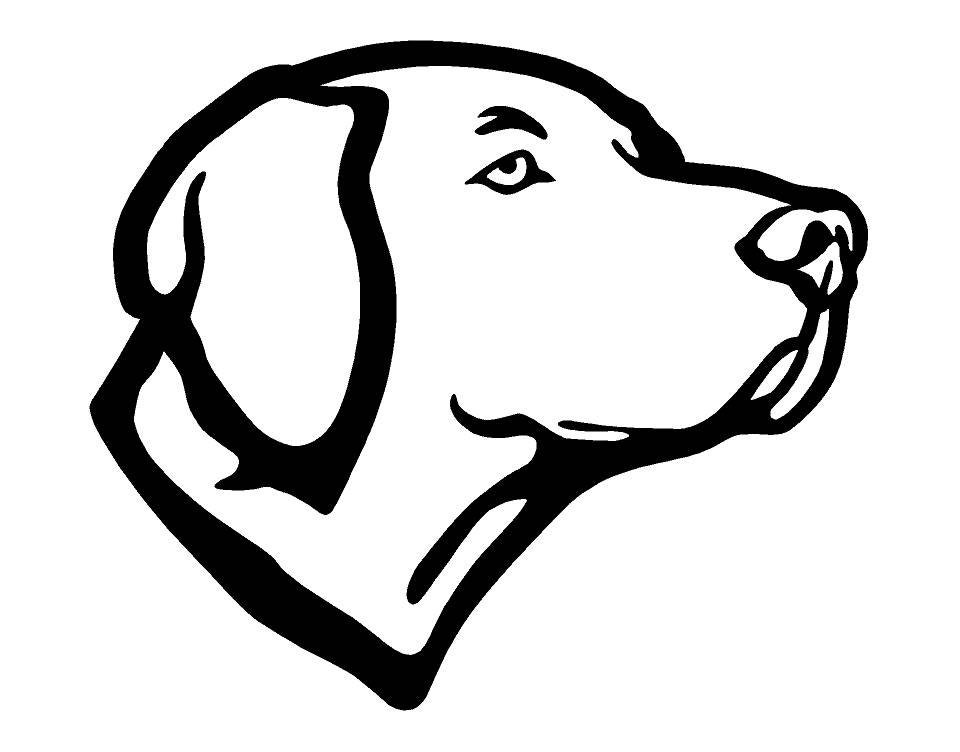 Labrador Retriever Car Decal