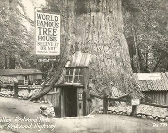 Popular items for tree house on Etsy