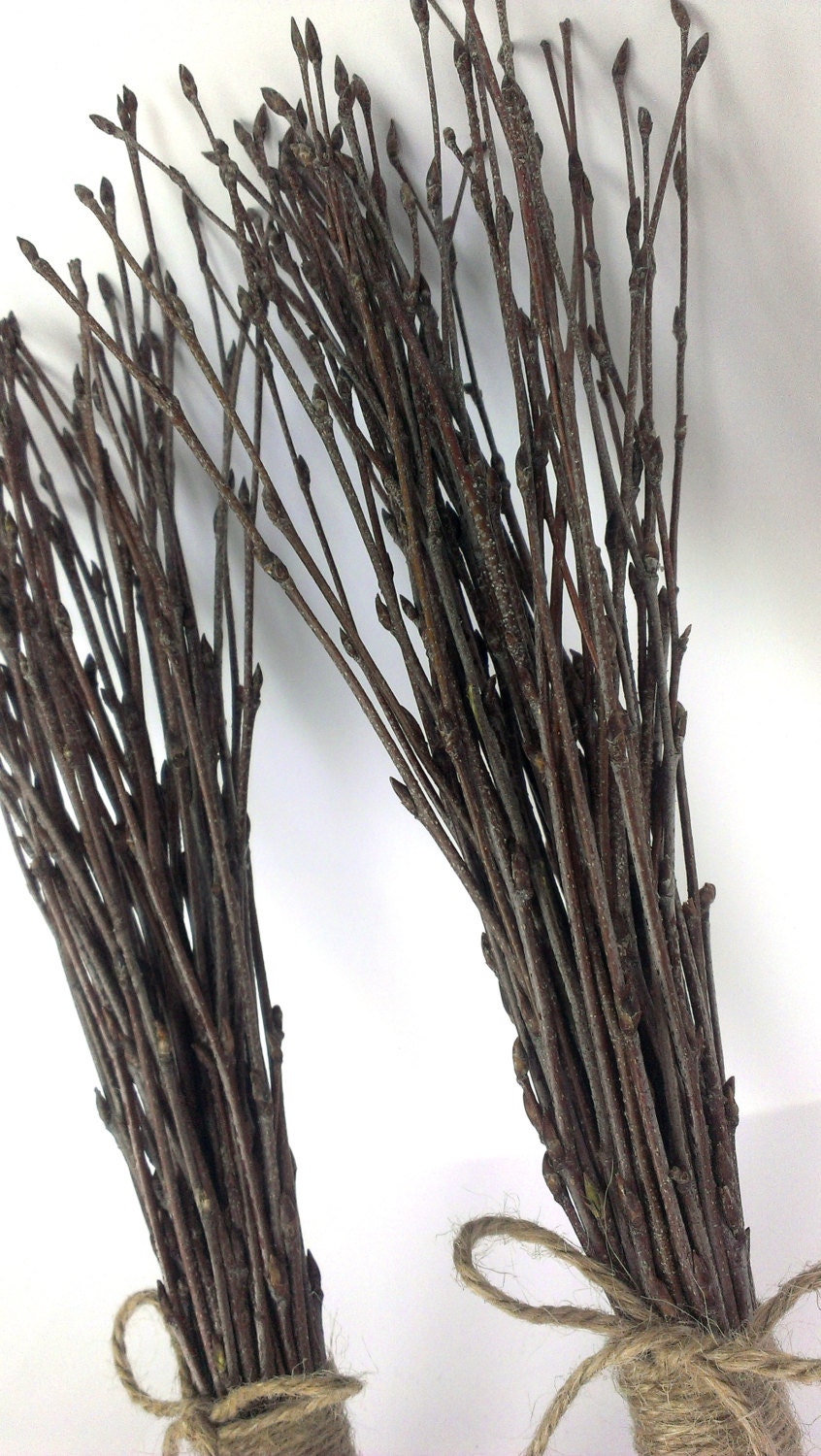 100 pc.Twigs 2 Bundles of Birch Twigs Birch Bark Wedding