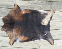 Popular items for goat hide on Etsy