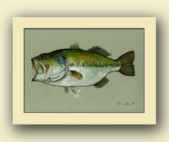 Black bass poisson achigan aquarelle animaux décoration-bass