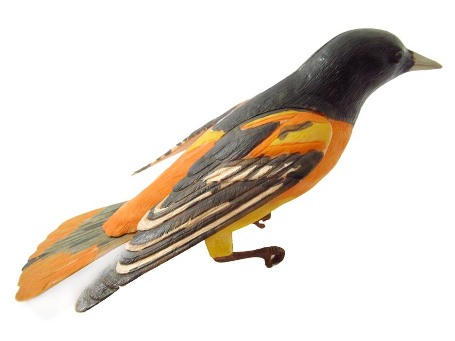Birds of the World Model Kit Oriole Bird Plastic Model Bachman