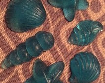 Popular items for small seashells on Etsy