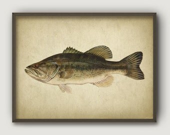 Items similar to Largemouth Bass Fish Rubber Stamp, AKA black bass ...