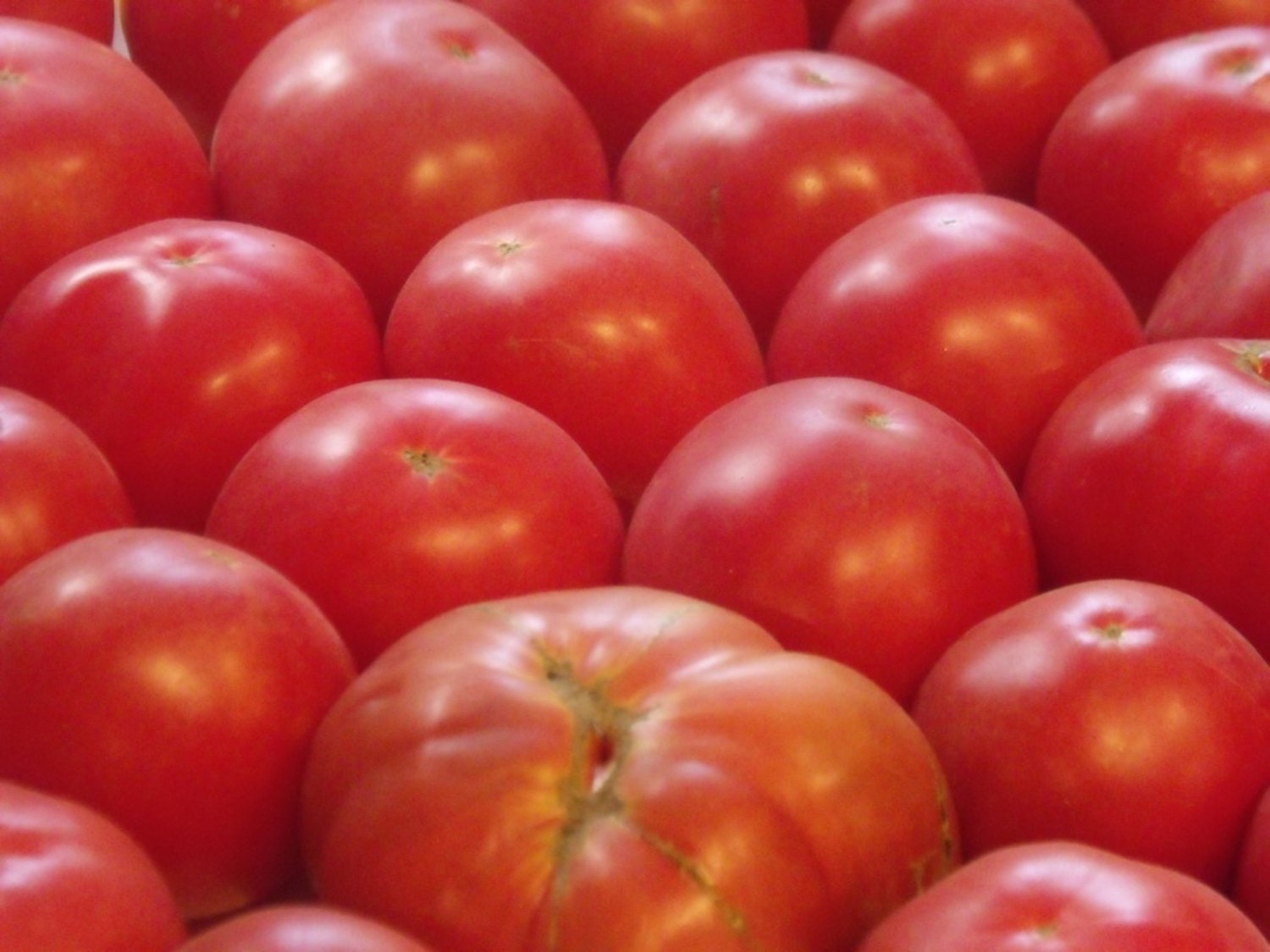 German Johnson Tomato Seeds Heirloom 75 Seeds