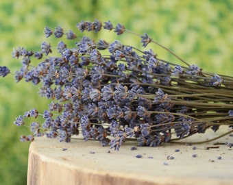 Lavender flowers | Etsy