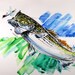 ORIGINAL Watercolor Painting Striped Bass Extra Large 22X28