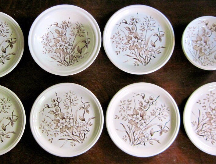 Vintage Brown and White Floral China, Barratts of Staffordshire England ...