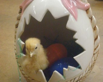 Unique egg display related items | Etsy