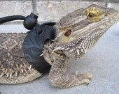Stylish Reptile Harnesses by LizardLovers on Etsy