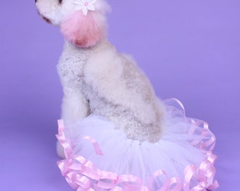 Popular items for dog in tutu on Etsy