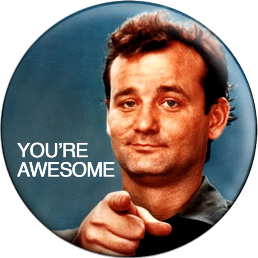 YOU'RE AWESOME Bill Murray Button Badge Pinback Pin by BeatGorilla