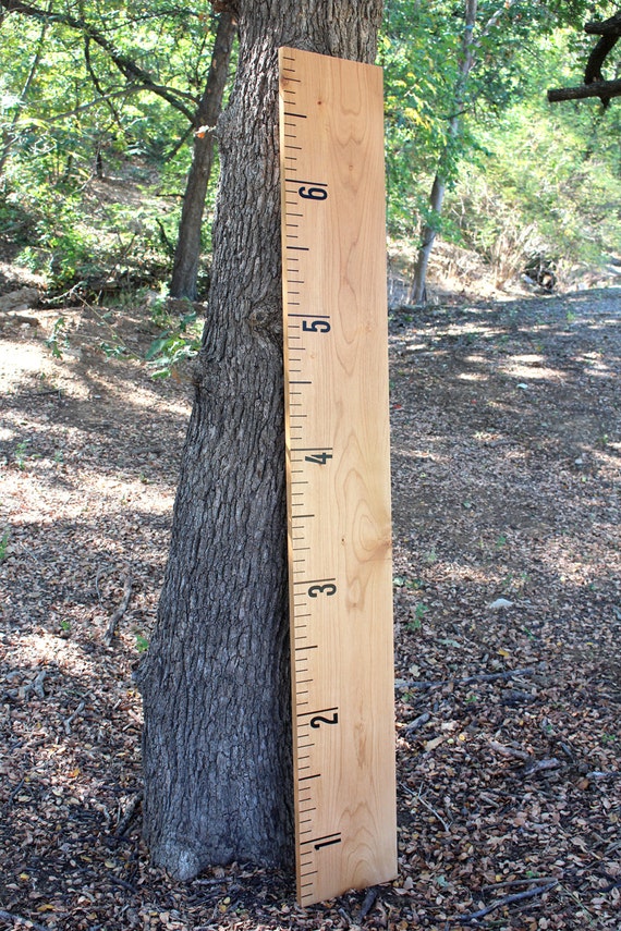 6 Wooden Growth Chart Ruler Oversized Wall By Wingbeanwoodworks