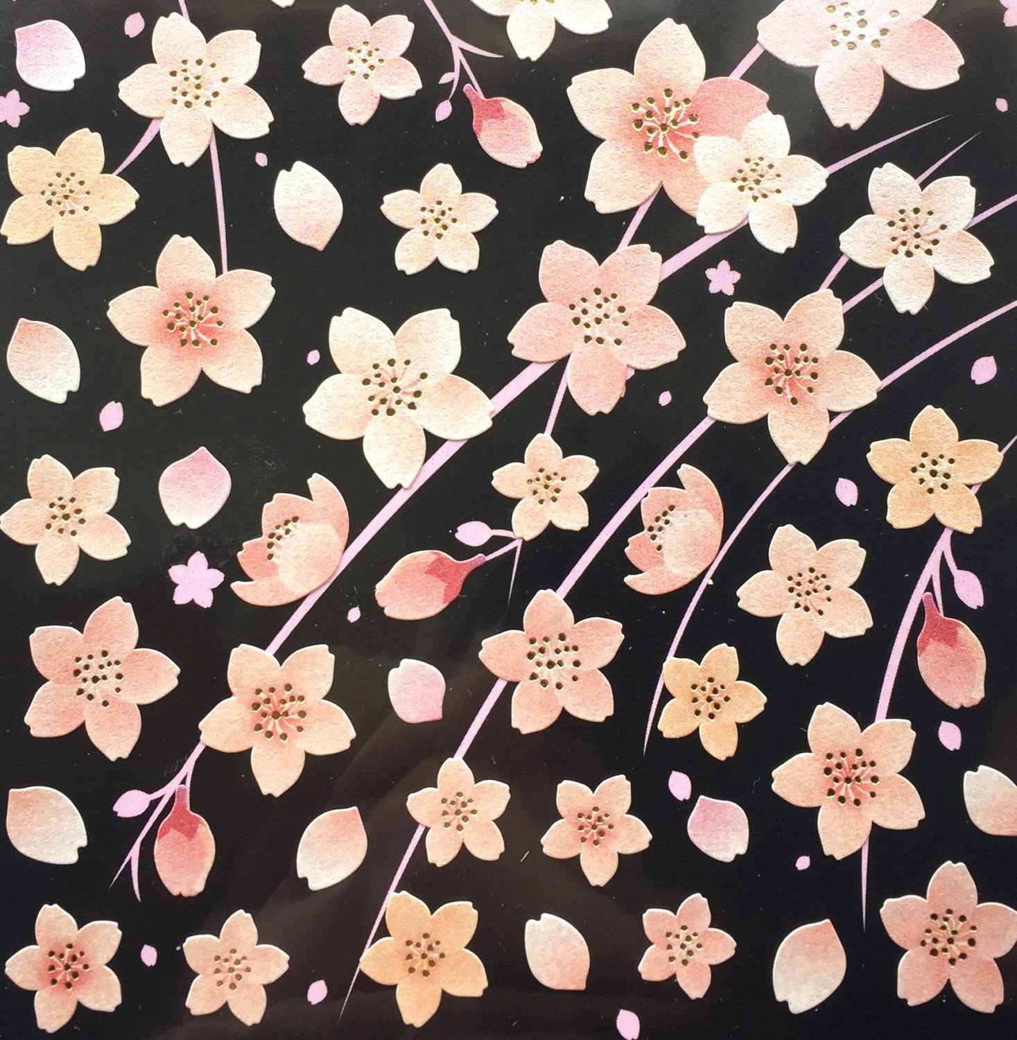 Cherry Blossom Stickers Japanese Stickers Sakura Stickers