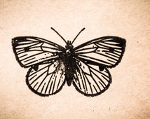 Popular items for moth stamp on Etsy