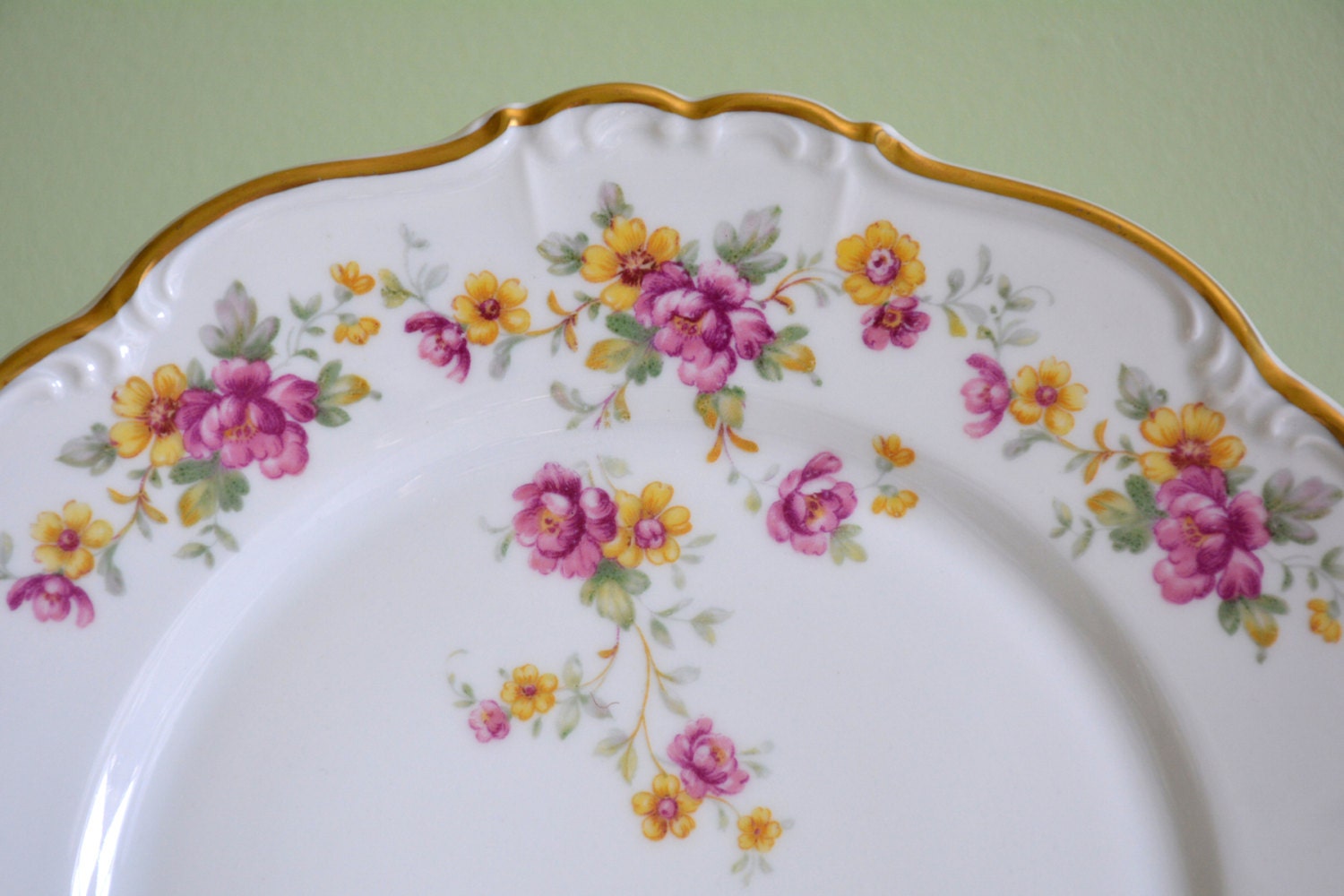 Vintage Edelstein Bavaria Dinner Plate – Haute Juice