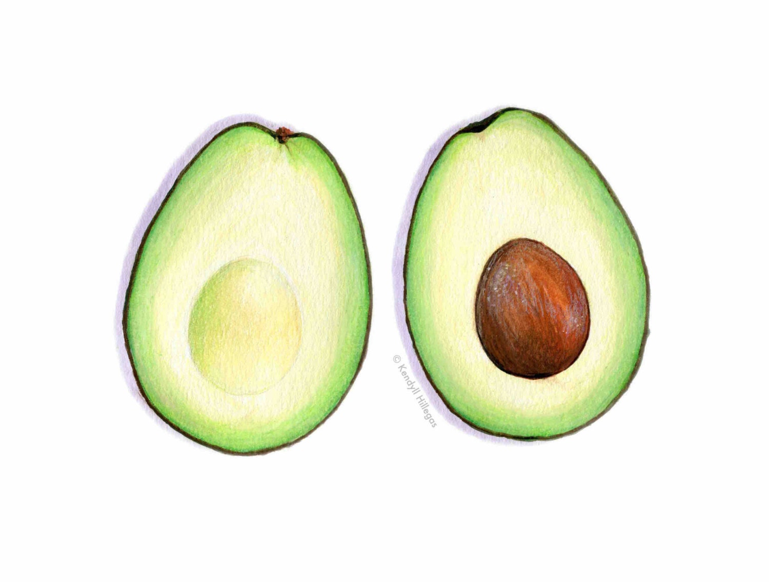 Avocado Halves Art // Food Illustration // Archival Art Print