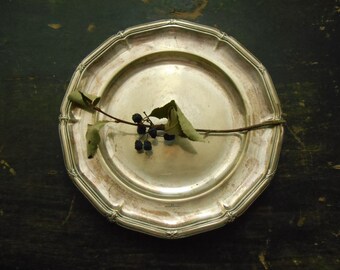 Popular items for vintage metal plates on Etsy