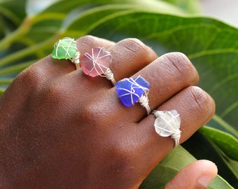 Sunrise shell | Etsy