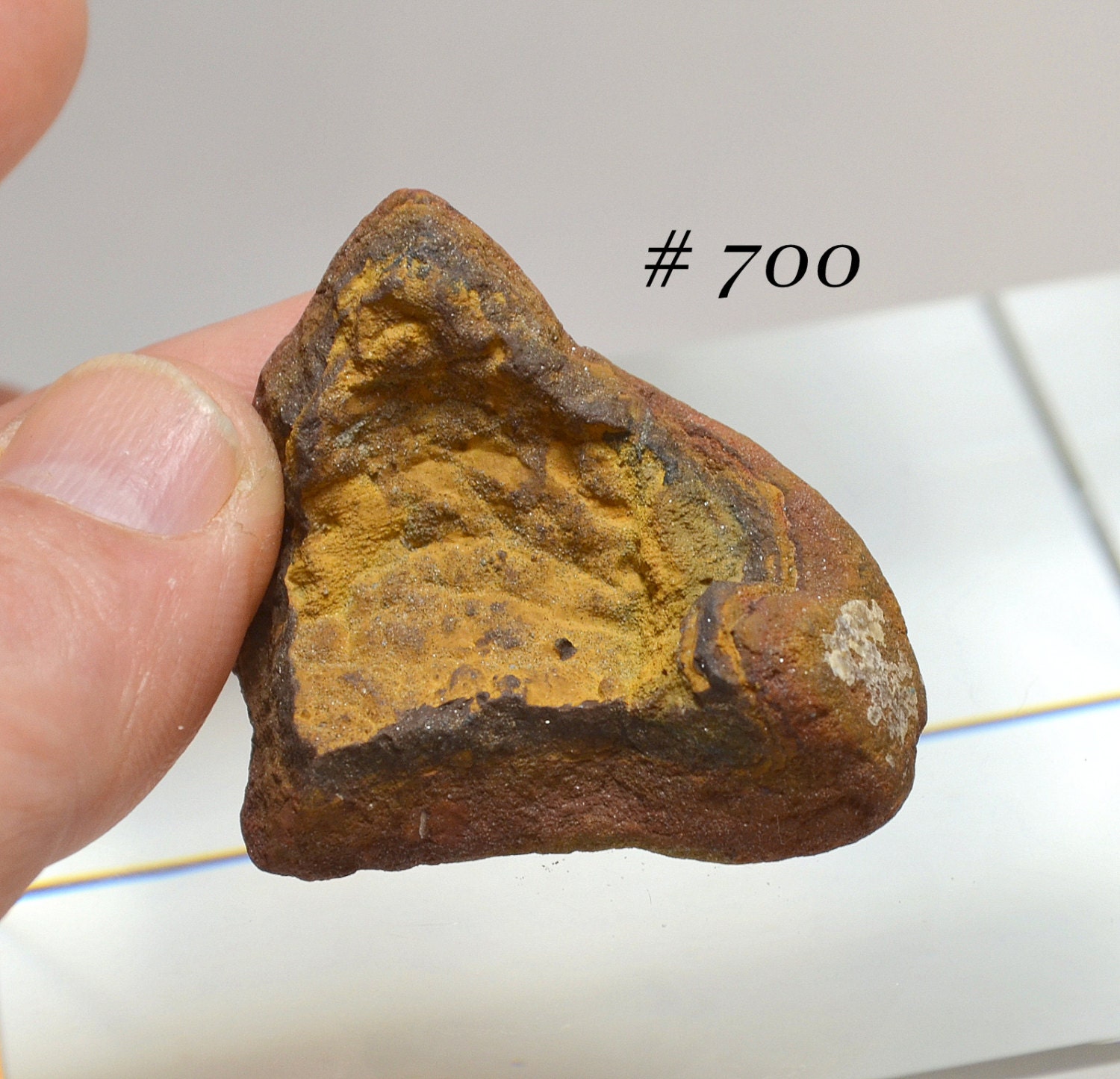 Very Nice Limonite/Goethite Concretion Segment with Botryoidal