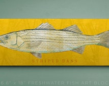 Popular items for freshwater fish art on Etsy