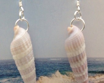 Items similar to Auger / Shell Statue 3 on Etsy