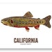 California State Fish Map art Nature Outdoor art Vintage