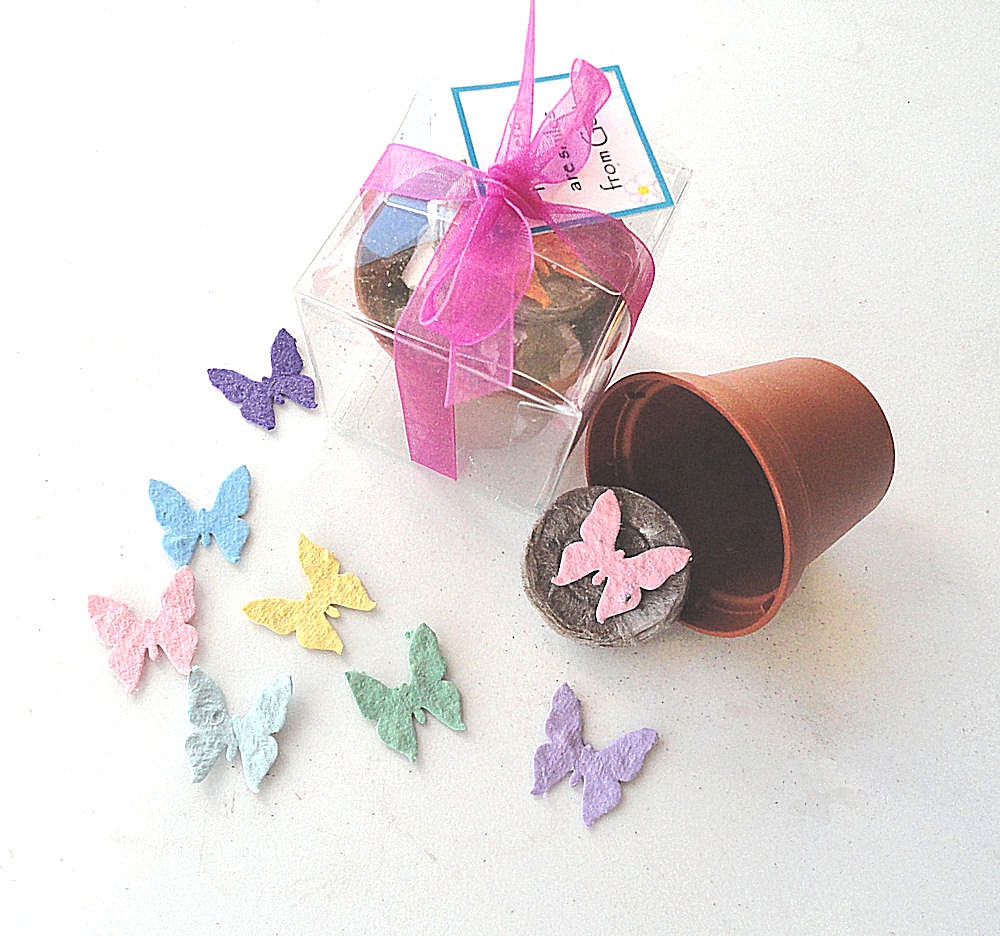 12 Butterfly Birthday Party Favors Custom Personalized Seed
