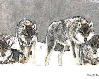 Coyote drawing | Etsy