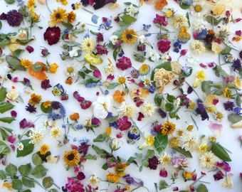 Dried flowers bulk | Etsy