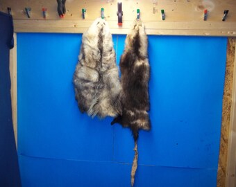 Popular items for opossum fur on Etsy