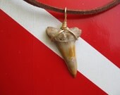 The Shark Tooth Shop by TheSharkToothShop on Etsy
