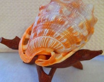 Popular items for florida water on Etsy