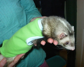 Popular items for ferret clothes on Etsy