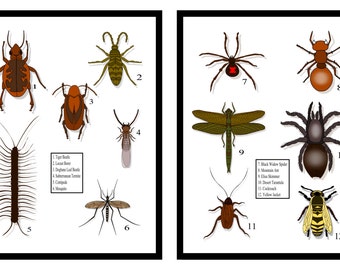 Bug art print | Etsy
