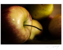 Popular items for dutch masters on Etsy