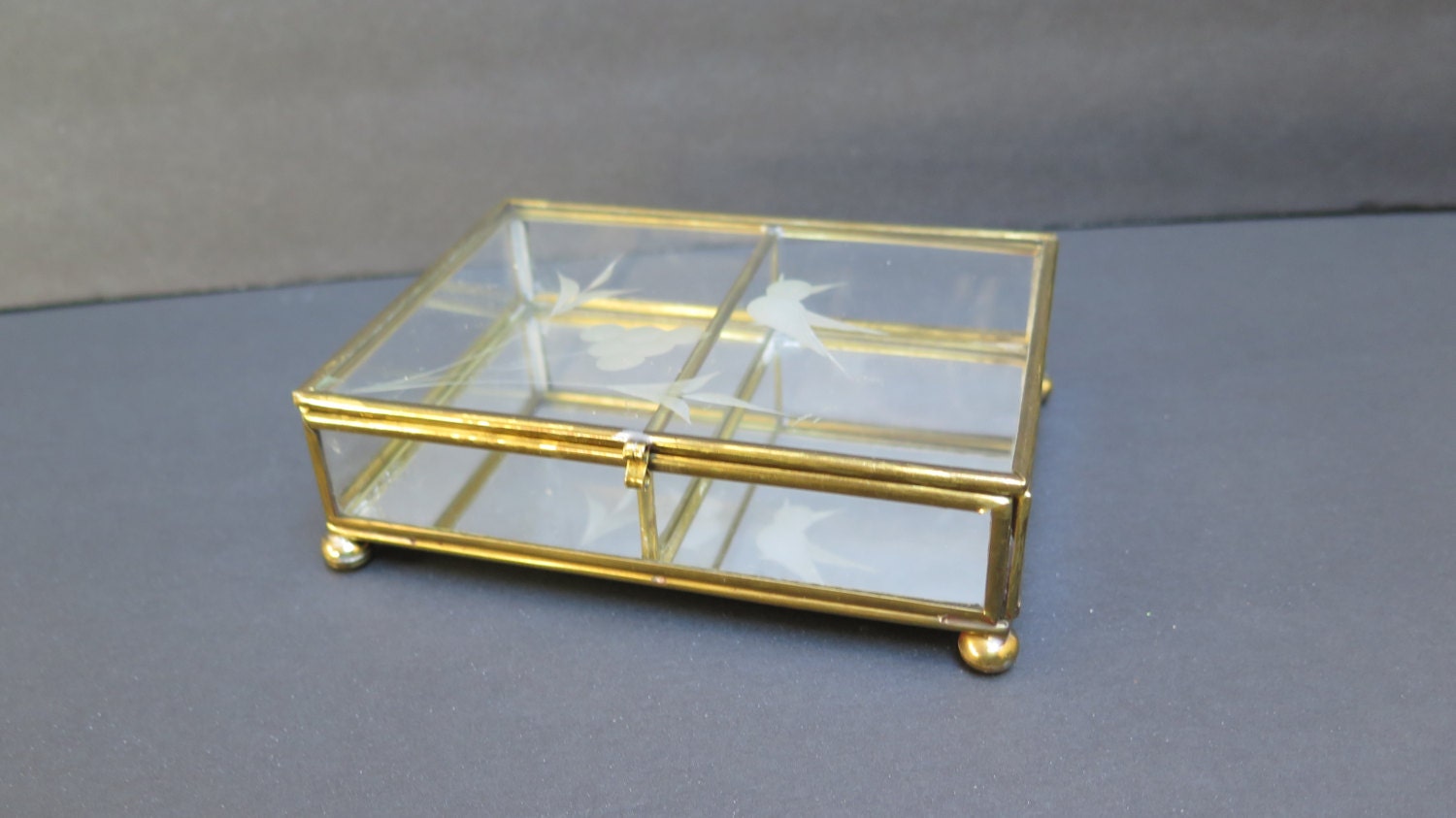 divided glass and brass specimen curiosity display box with a mirror ...