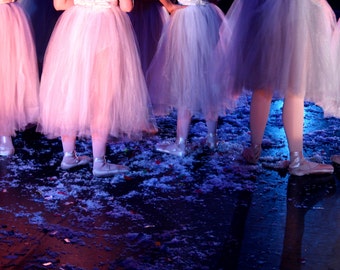 Items similar to Decorative Pointe Shoes Nutcracker Swan Lake and ...