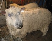 Handspun Yarn by Thomas of Wild wool farm by wildwoolfarm on Etsy