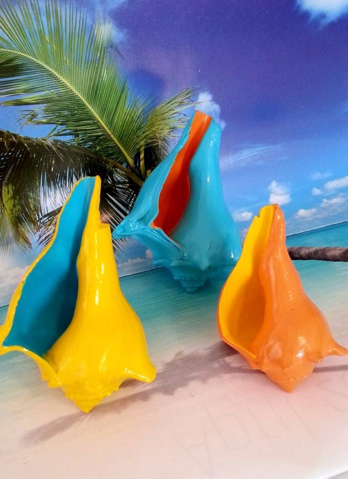 Bright colors hand painted conch shells coastal home decor