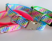 Custom dog collars leashes & harnesses made to by CollarHabit