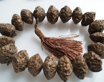 Bodhi tree seeds | Etsy