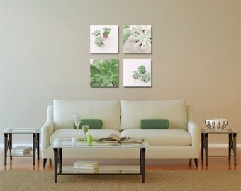 Succulent photograph | Etsy