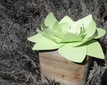 Popular items for paper succulent on Etsy