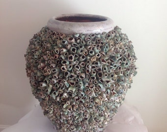 Barnacle planter | Etsy